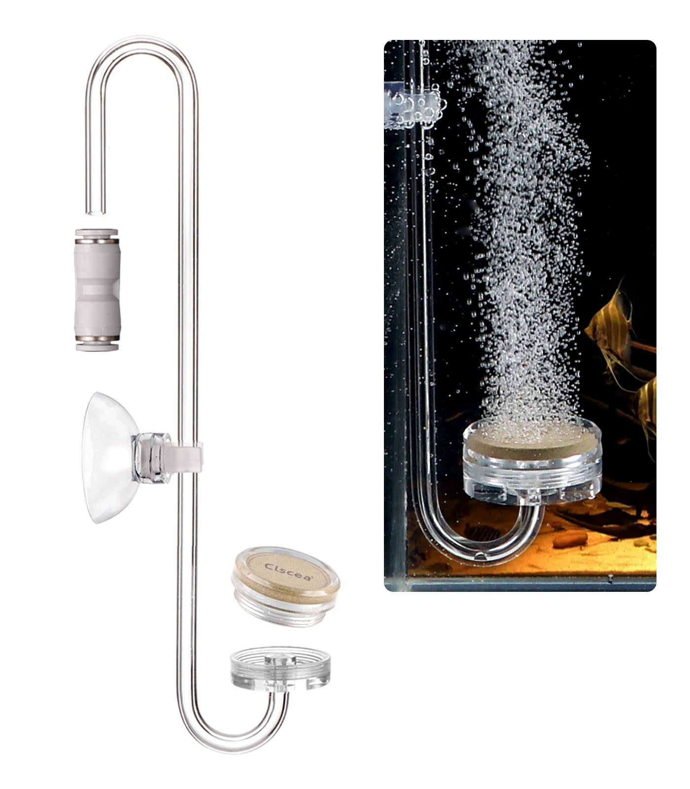 Oxygen diffuser – Clscea