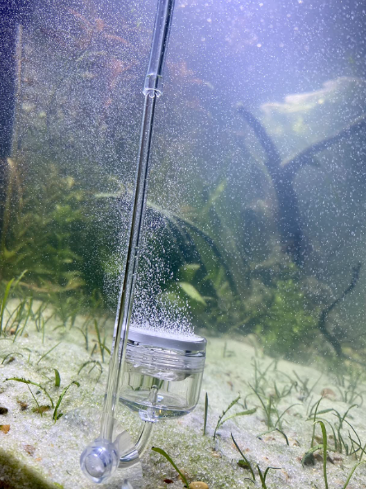 Clscea | アクアリウム一番 プロツールショップ